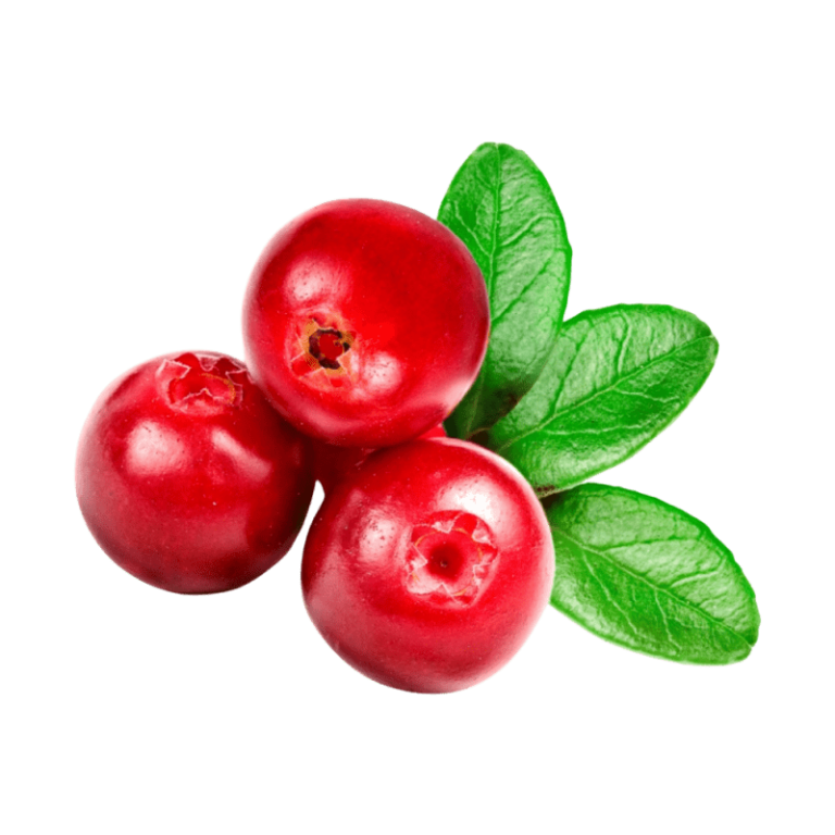 OEM Health Food Supplement Manufacturer - TCT Nutraceuticals